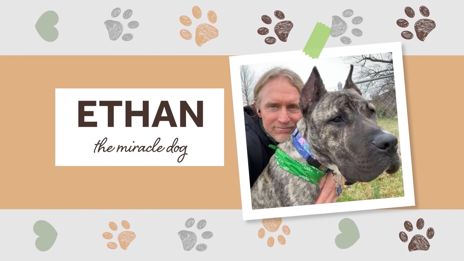 Ethan the Miracle Dog | Stream for free on Very Local