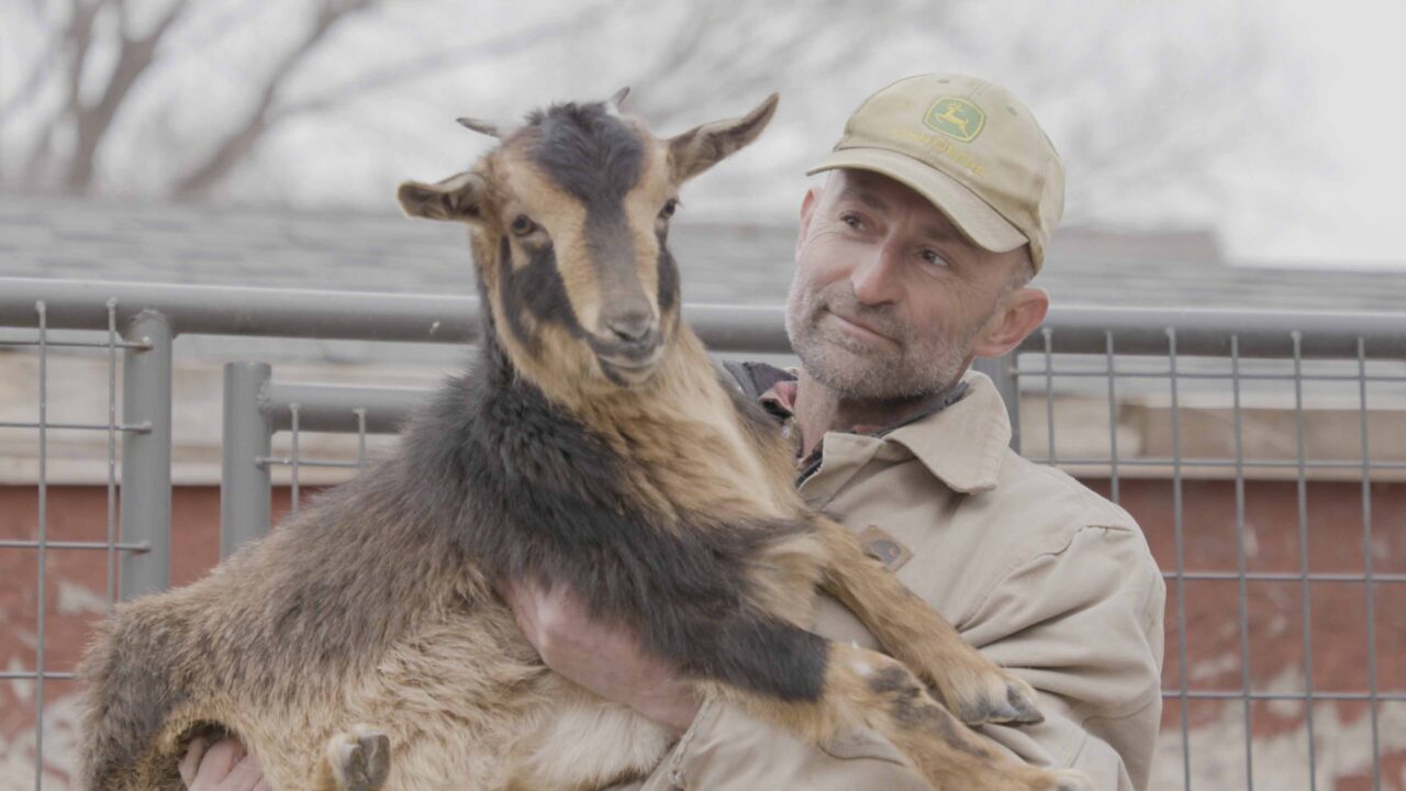 Watch Eat Play Stay on the Very Local app