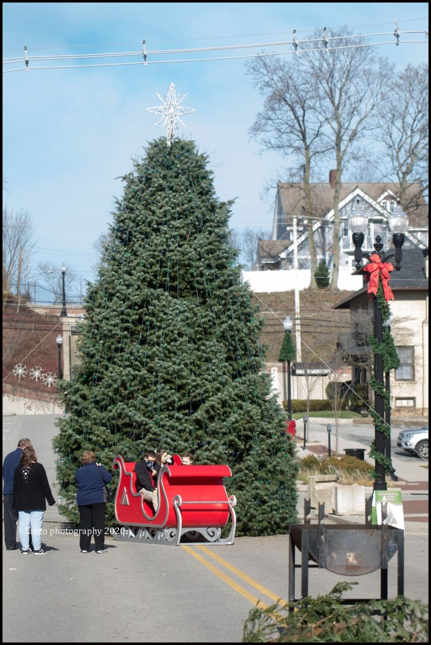 Cut your own tree in Indiana, PA (aka the Christmas tree capital of the ...